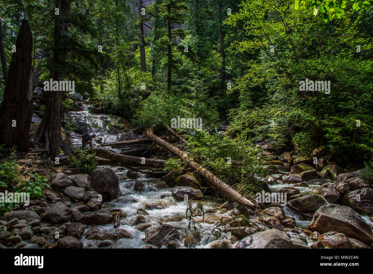 Shannon falls, British Columbia, CA Stock Photo - Alamy