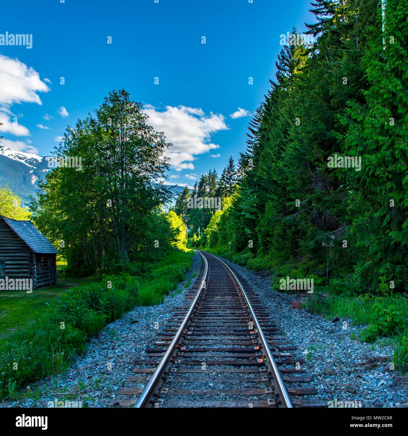 Railroad in the forest in Canada Stock Photo - Alamy