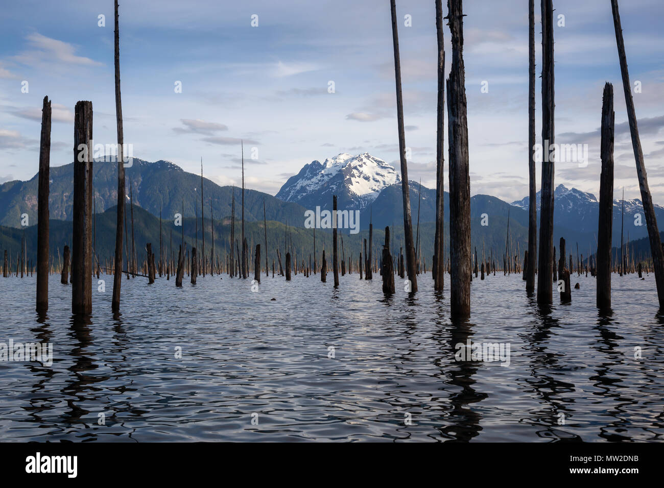Stave lake british columbia canada hi-res stock photography and images ...