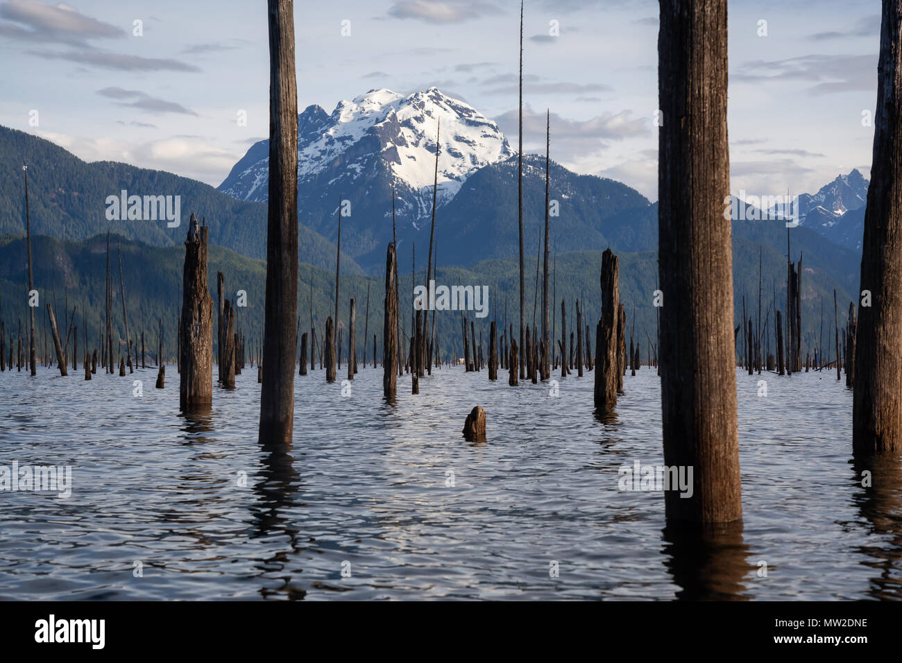 Stave lake british columbia hi-res stock photography and images - Alamy