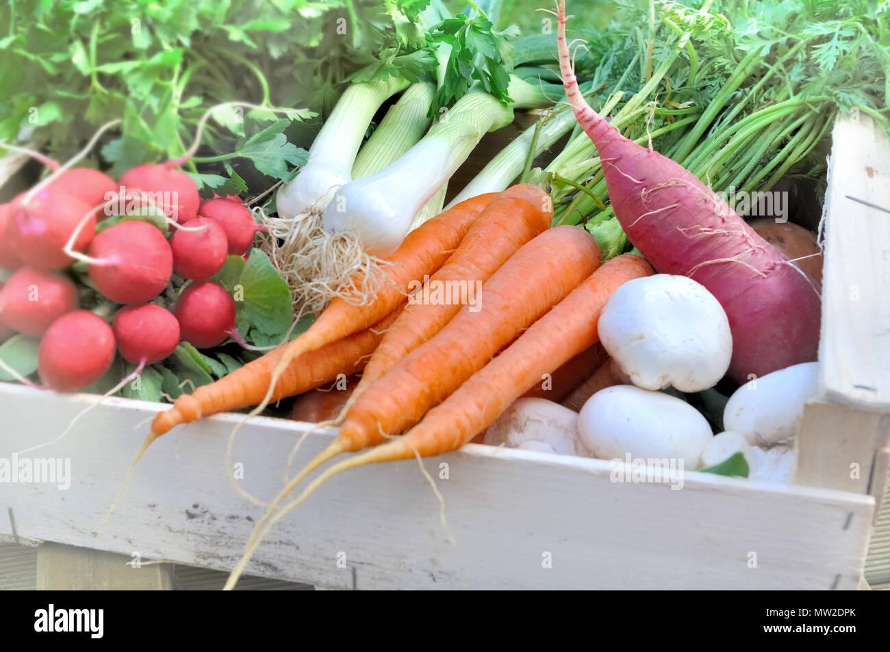 few fresh vegetables in a tray Stock Photo - Alamy