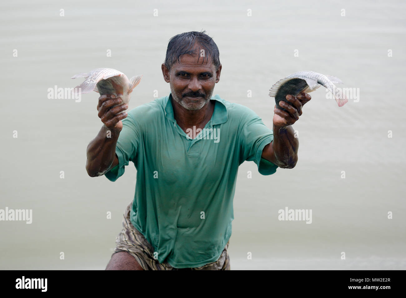 Fish farm aquaculture bangladesh hi-res stock photography and images ...