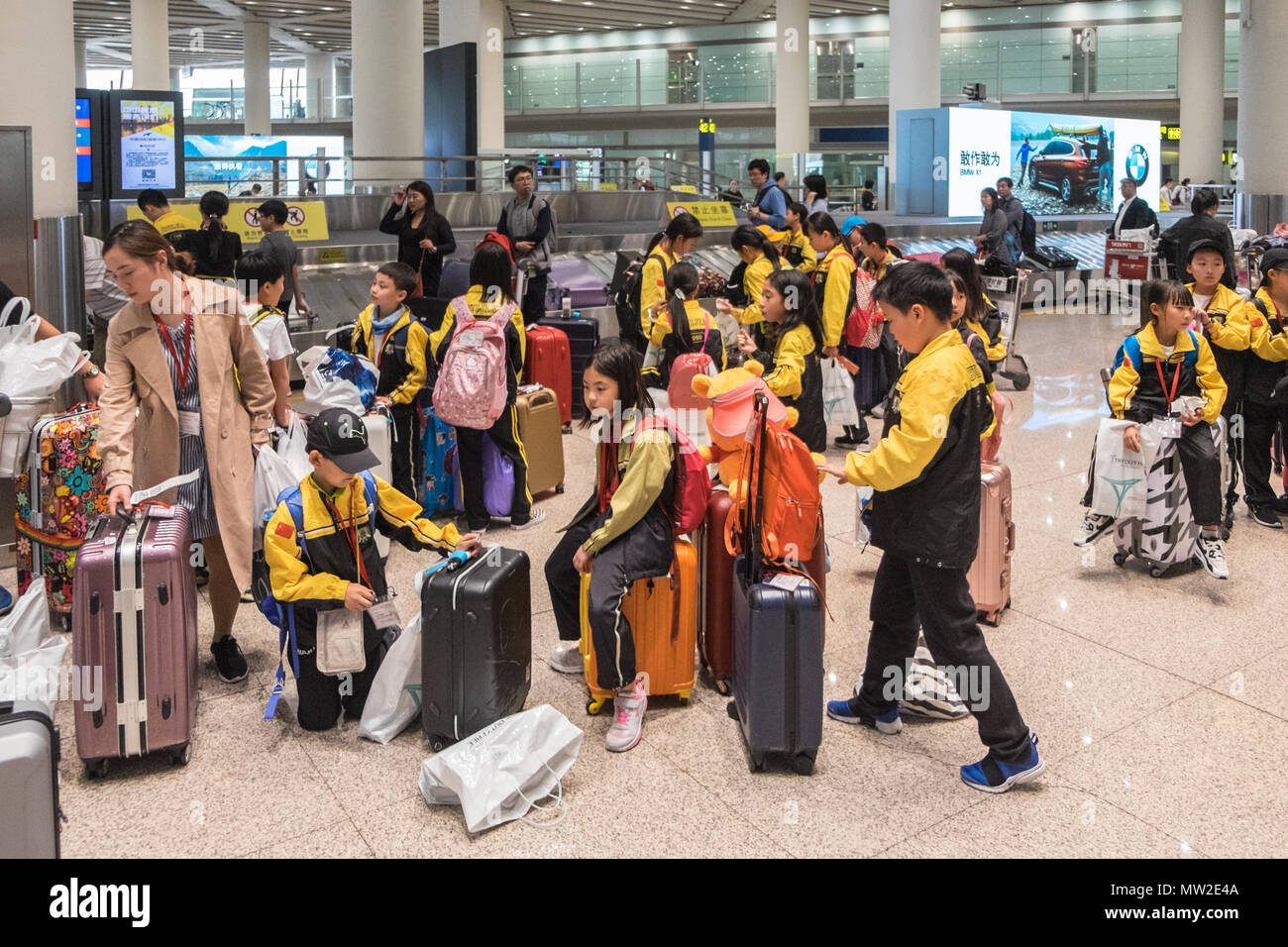 Huge,Beijing Capital International Airport,PEK,Terminal 3,serving ...