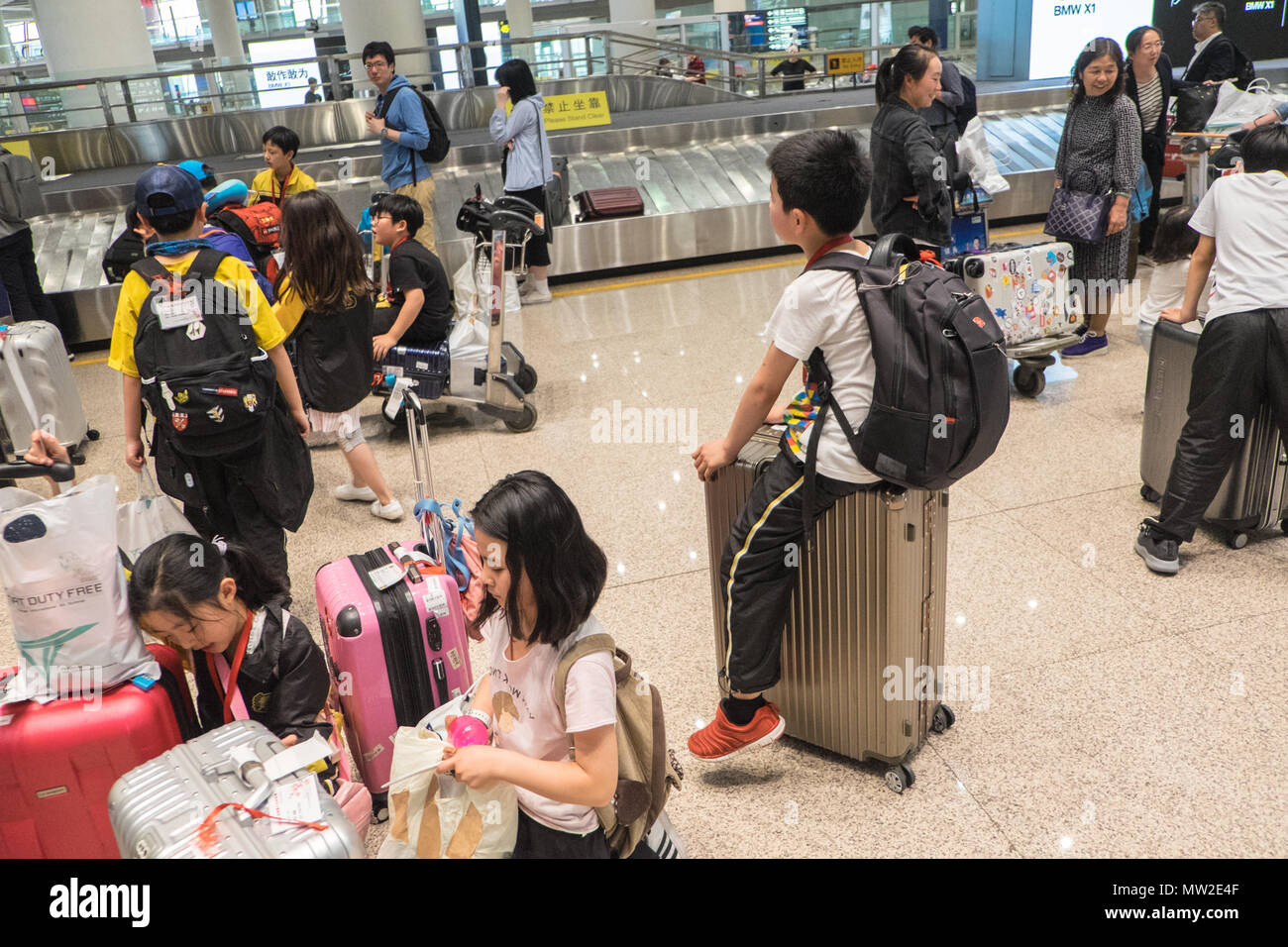 Huge,Beijing Capital International Airport,PEK,Terminal 3,serving ...