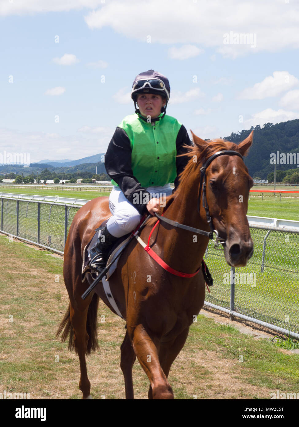 Jockey And Race Horse Stock Photo - Alamy