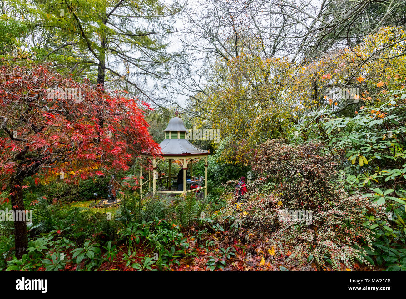 Autumn colours in Forest Glade Gardens, Mount Macedon Stock Photo - Alamy
