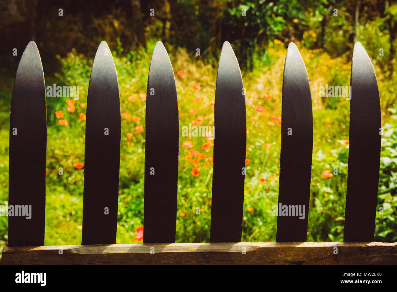 Eccentric gate of vegetable garden. Auvergne. France Stock Photo - Alamy