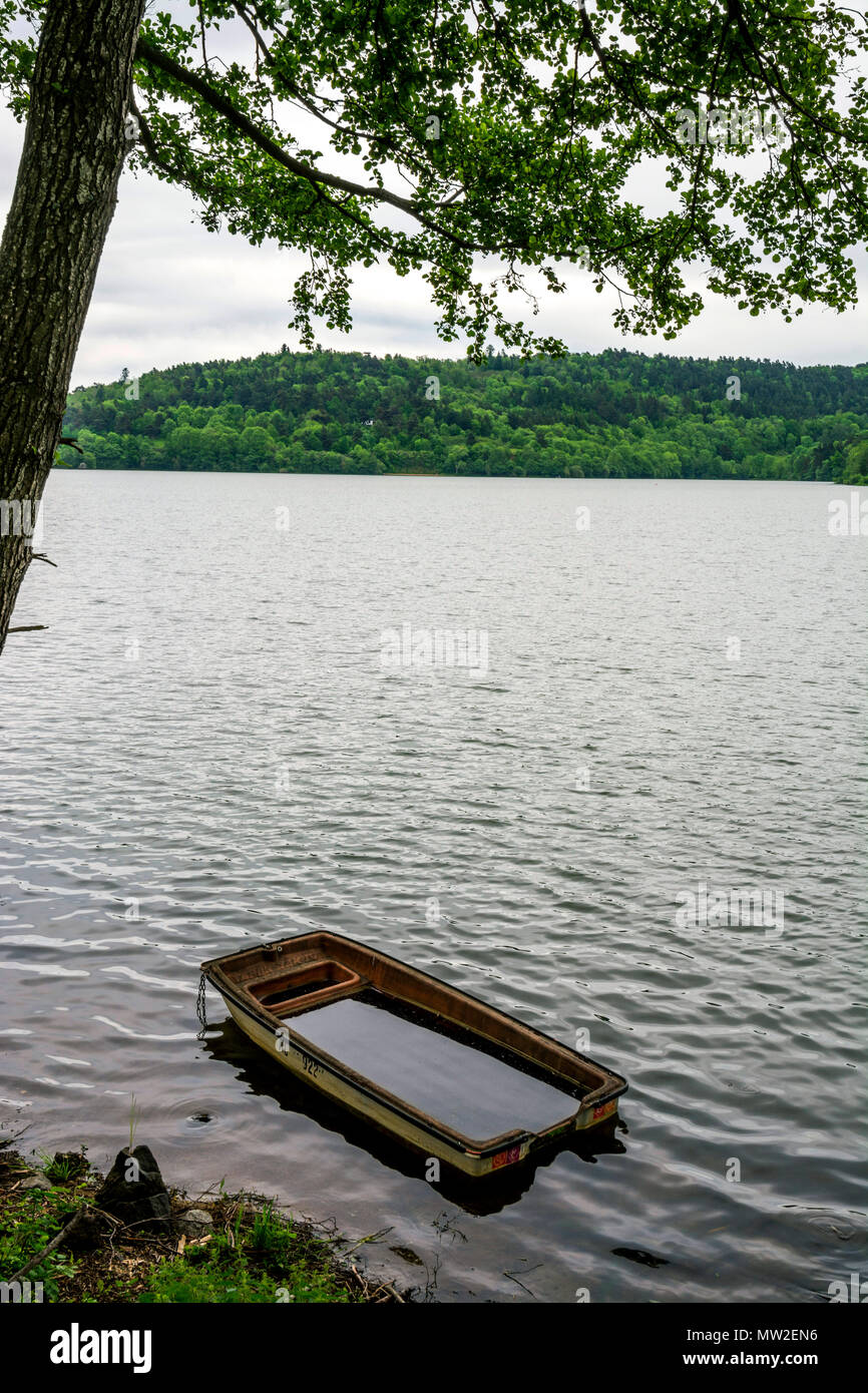 Bark floating in water. Aydat lake. Auvergne. France Stock Photo - Alamy
