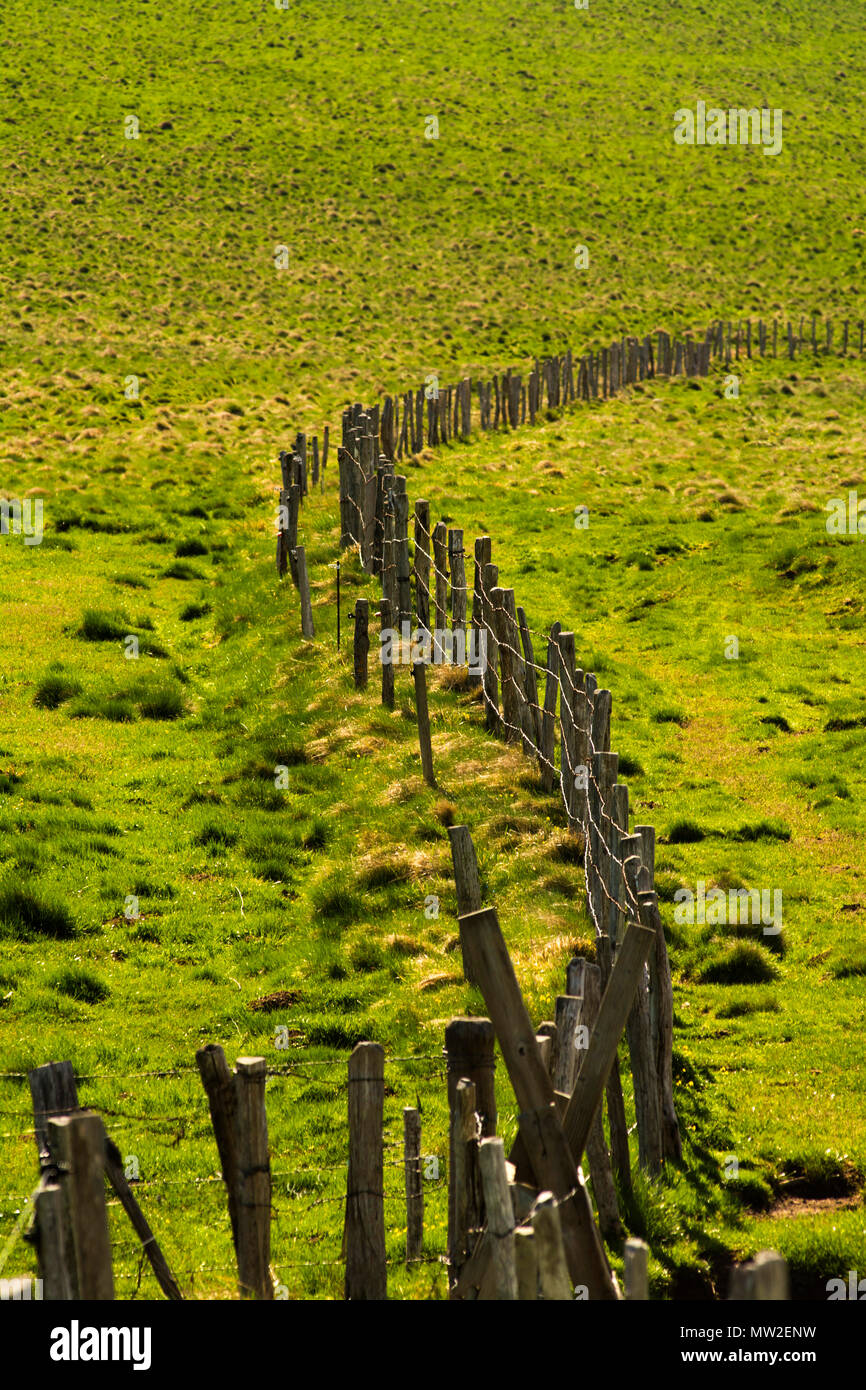 Stake field hi-res stock photography and images - Alamy