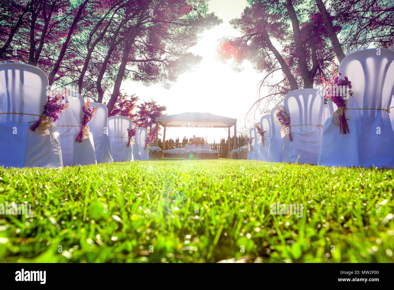 Idyllic wedding in garden and blue sky Stock Photo - Alamy