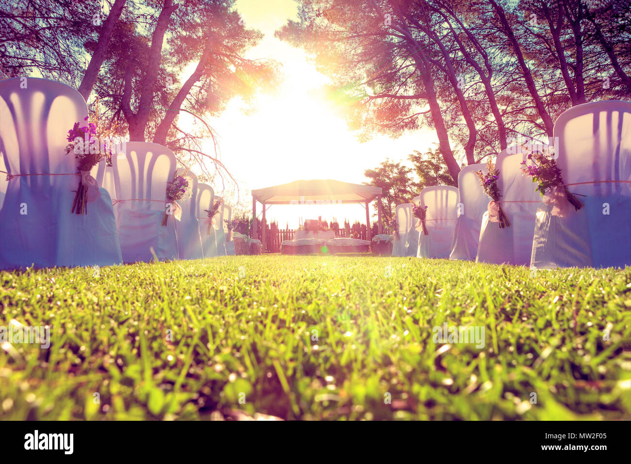 Idyllic wedding in garden and sunset blue sky Stock Photo - Alamy