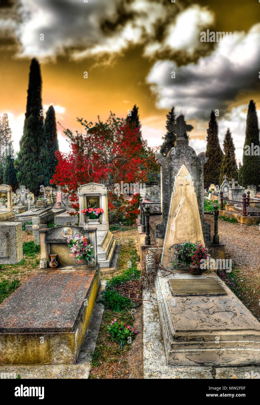 Real Graveyard Background