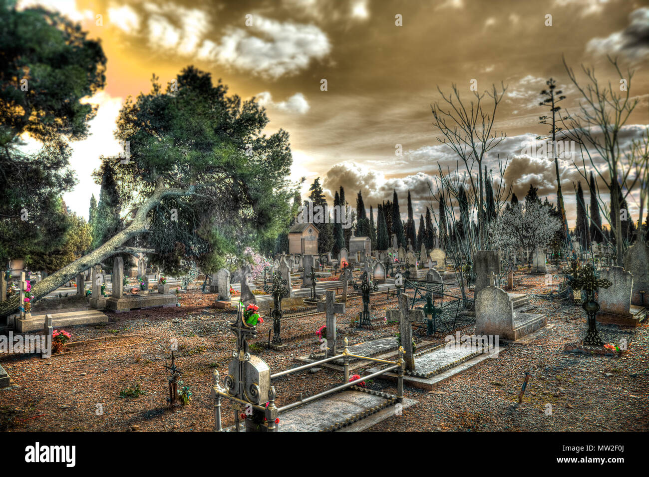 Scenic cemetery and tombstone.Gravestone and Halloween background ...