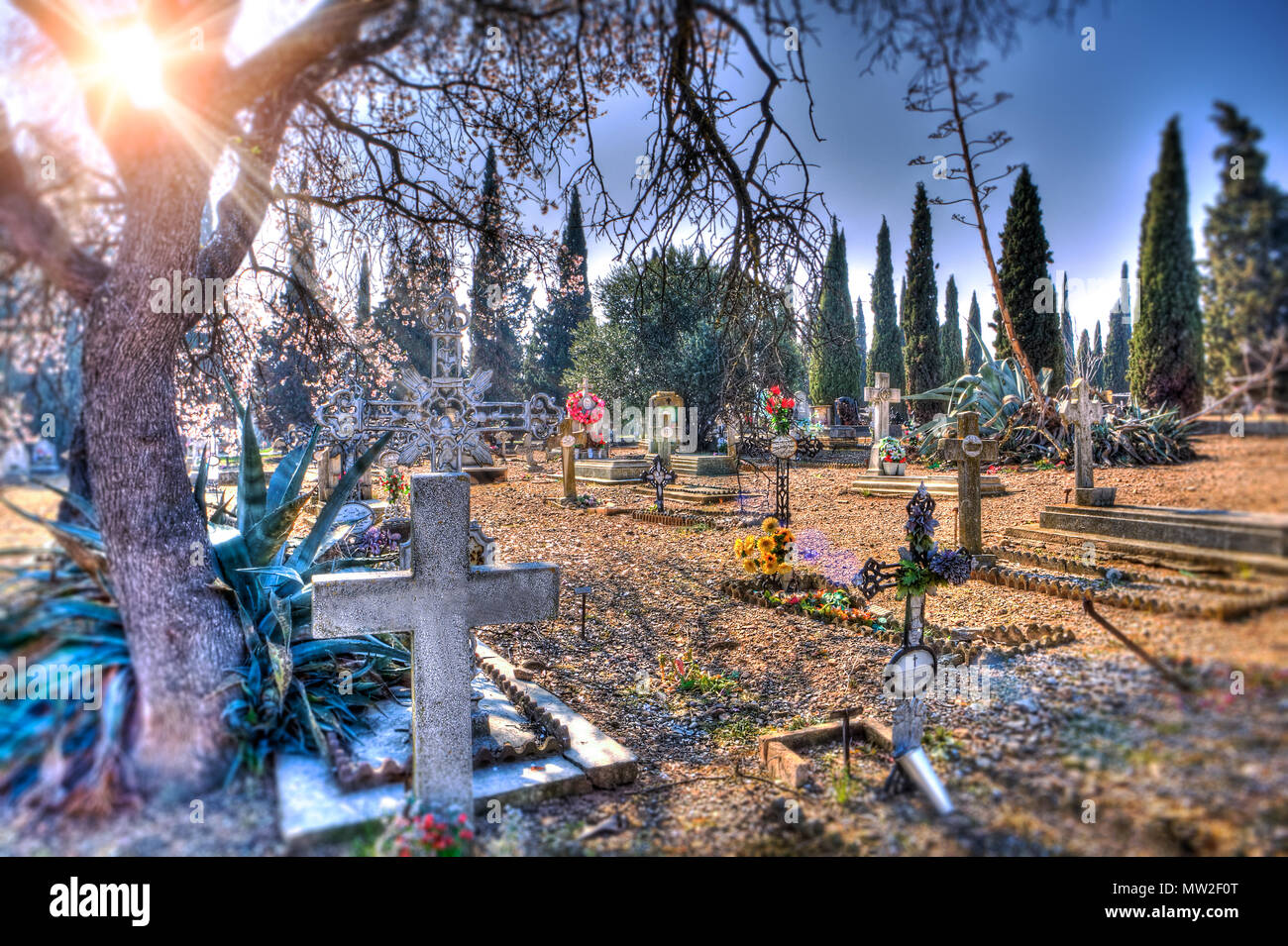 Scenic cemetery and tombstone.Gravestone and Halloween background ...