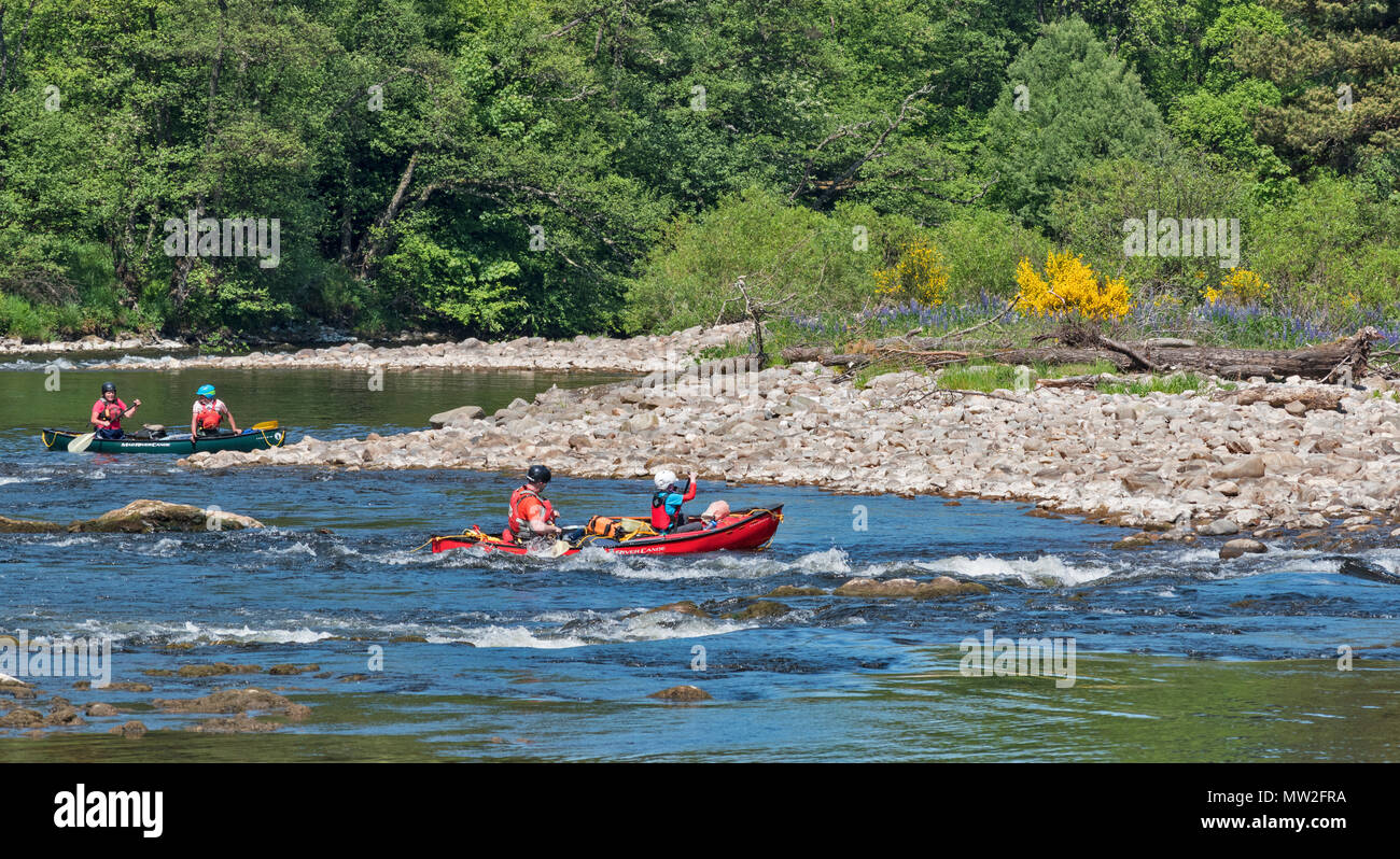 Canoeist canoe boat hi-res stock photography and images - Alamy Canoeist canoe boat hi-res stock photography and images - Alamy