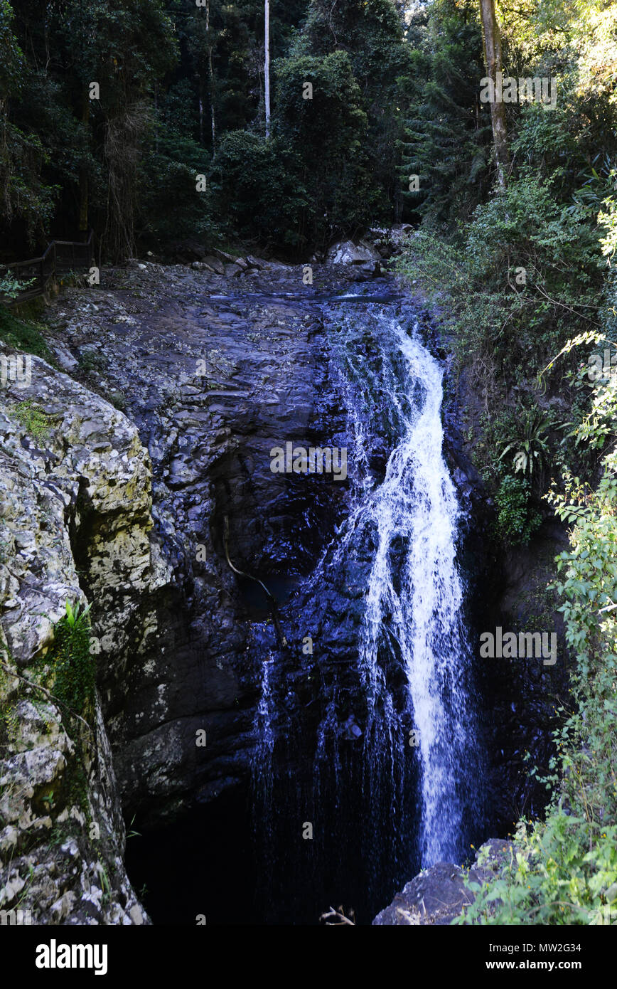 Springbrook national park hi-res stock photography and images - Alamy