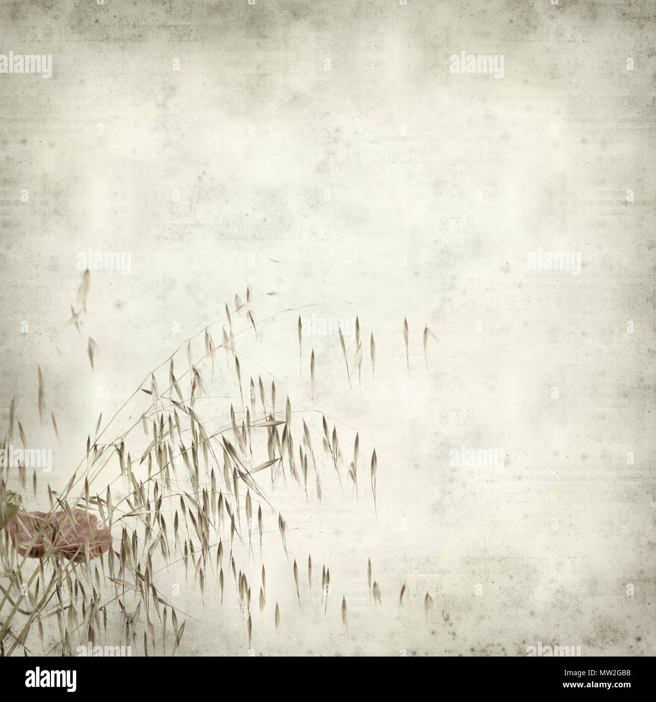 textured old paper background with wild oats stems Stock Photo - Alamy