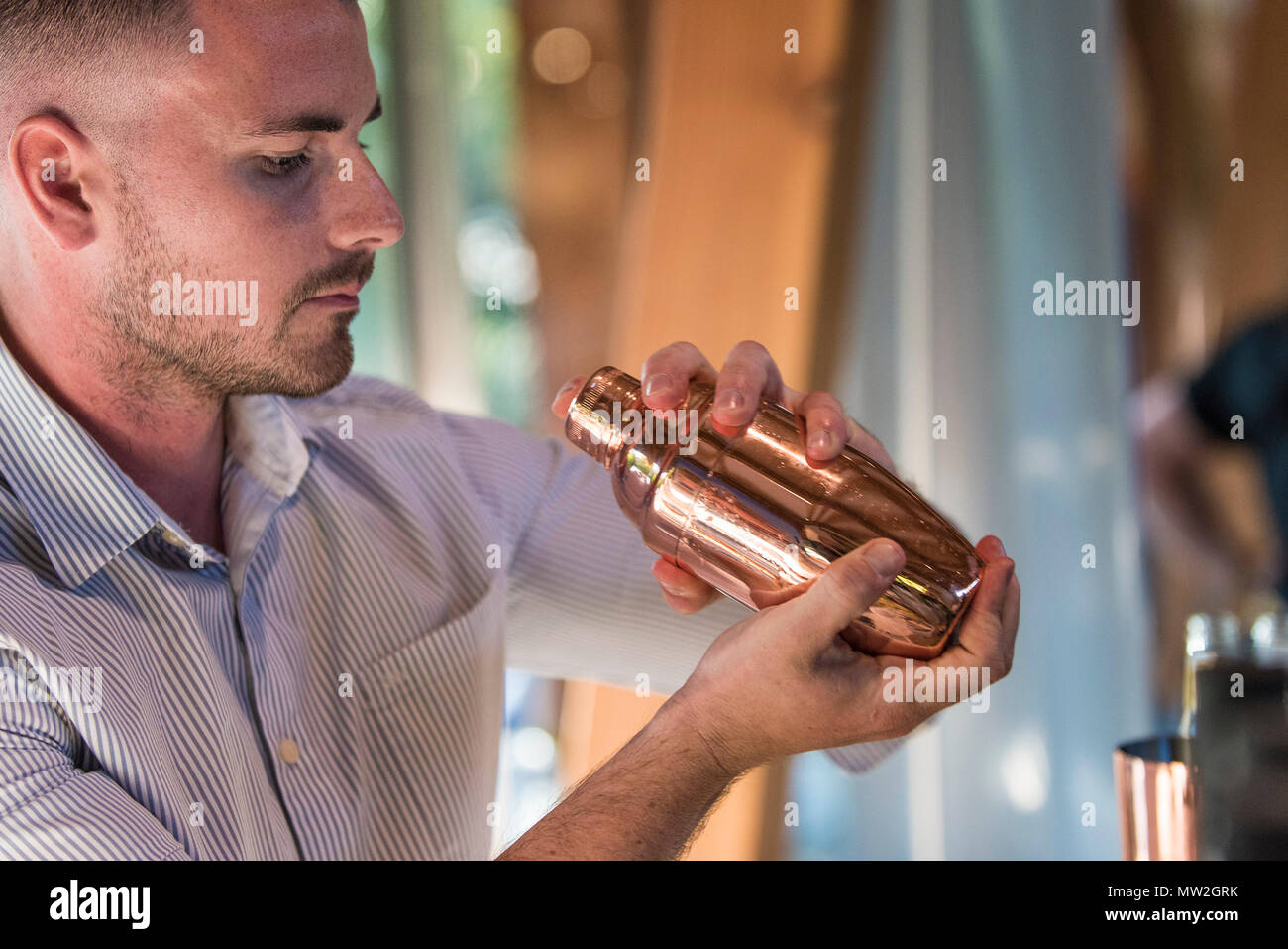 A bartender using a cocktail shaker at a gin tasting event Stock Photo ...