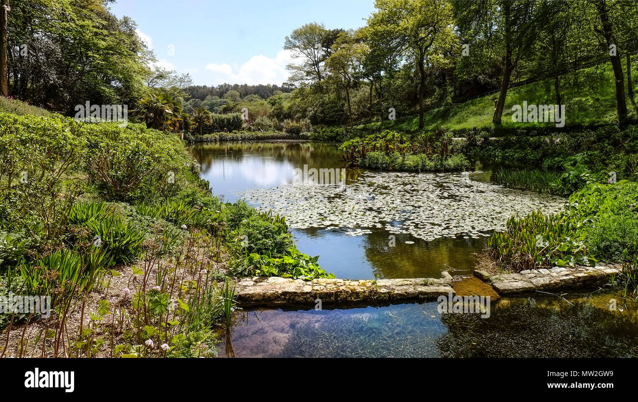 Colourful garden pond hi-res stock photography and images - Alamy