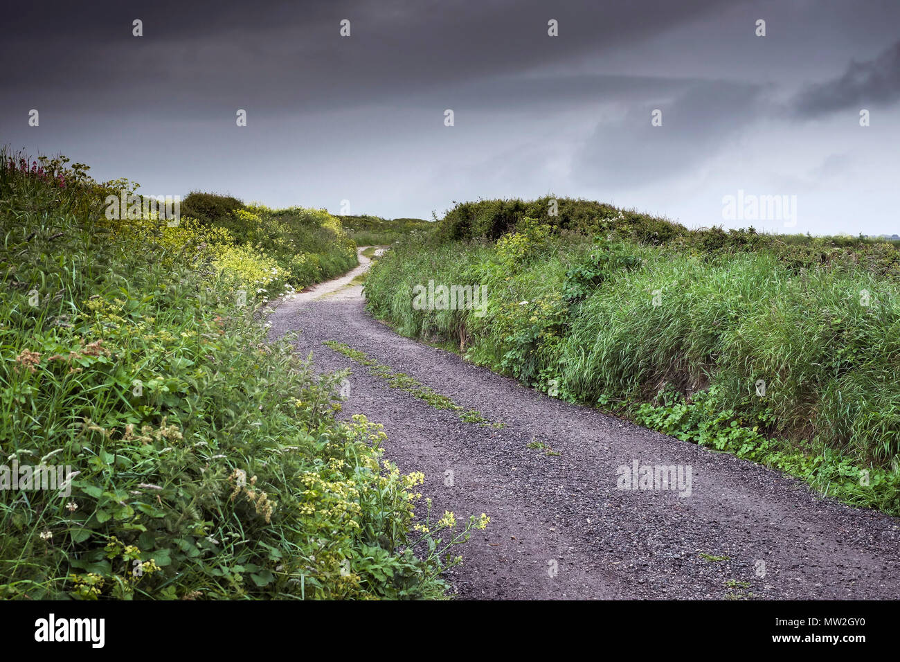 A country land in Cornwall Stock Photo - Alamy