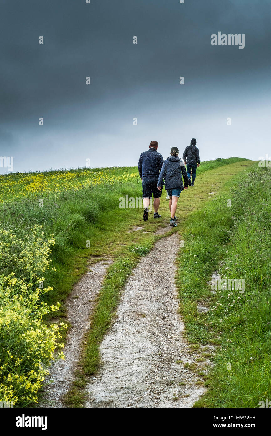 People walking in a field hi-res stock photography and images - Alamy