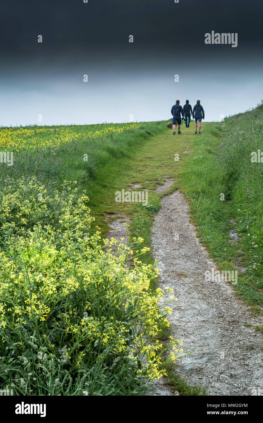 People walking through a field Stock Photo - Alamy