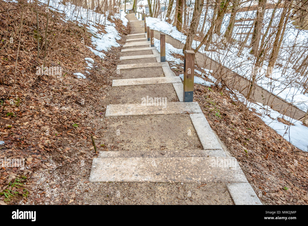Tree forest nature staircase steps hi-res stock photography and images ...