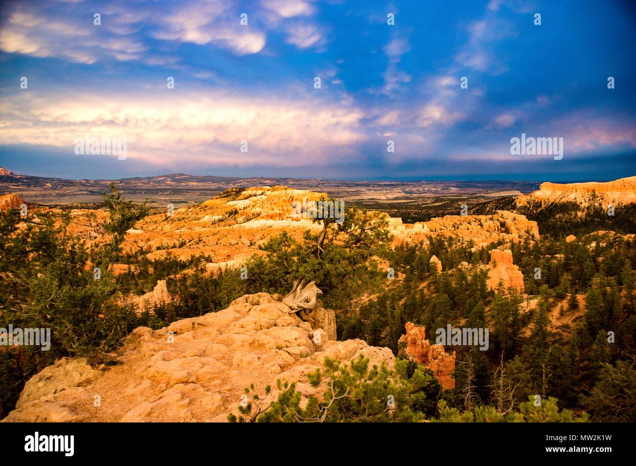 Brycecanyon hi-res stock photography and images - Alamy