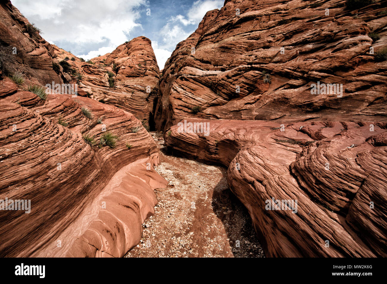 Wire Pass slot canyon in Utah Stock Photo - Alamy