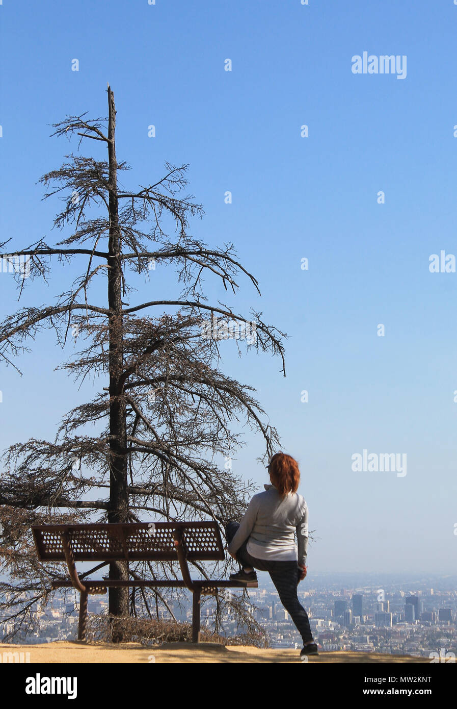 Woman on hill overlooking city, rear view Stock Photo - Alamy