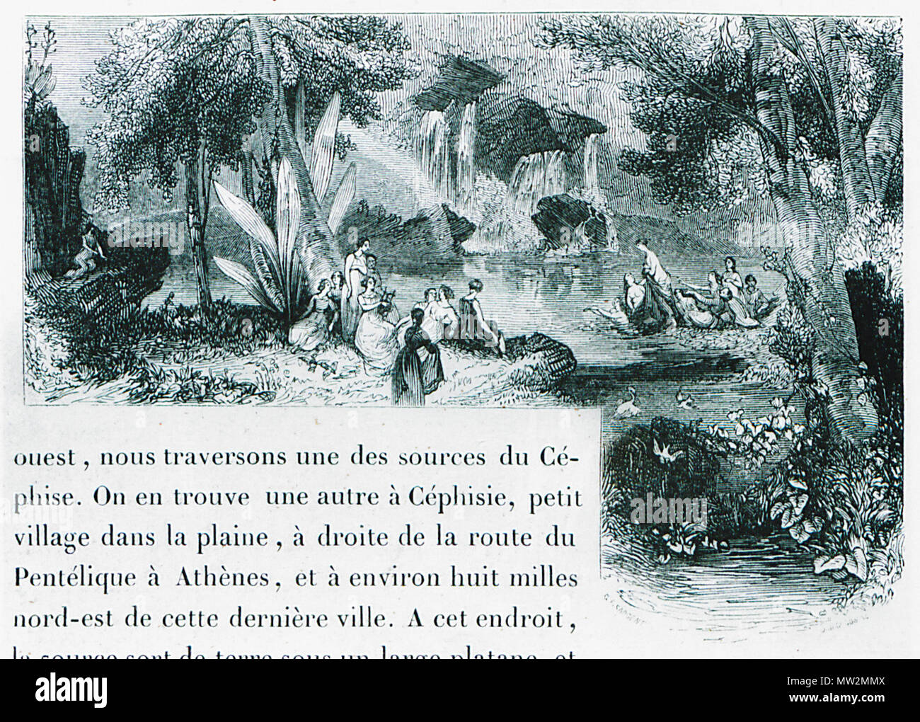 667 Σκηνή διασκέδασης στις πηγές του ποταμού Κηφισού στην Πεντέλη ...