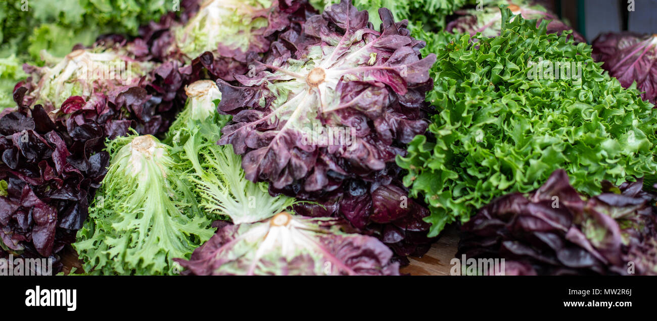 Colorful lettuce hi-res stock photography and images - Alamy