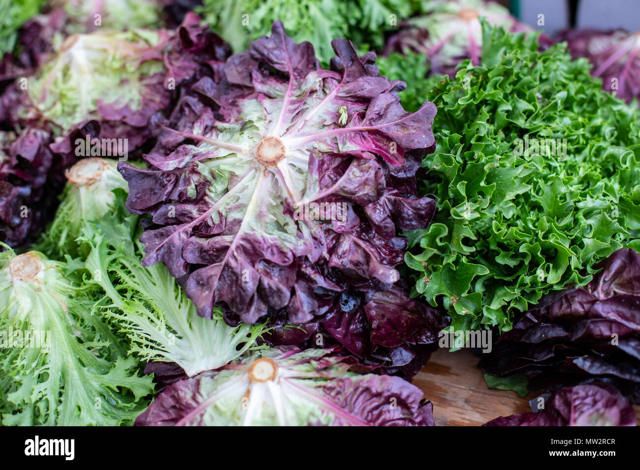 Assorted salad green leaf lettuce hi-res stock photography and images ...