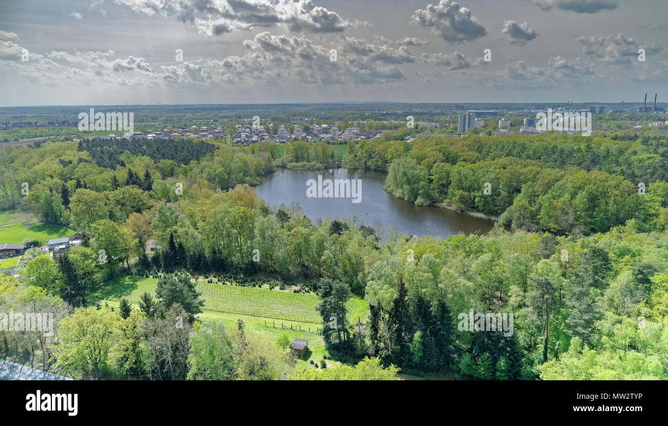 Aerial view of a small lake in the middle of the forest behind the ...