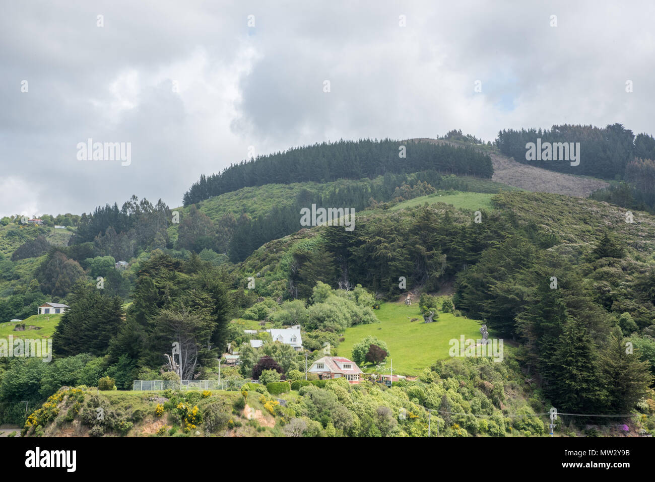 Dunedin, South Island, New Zealand-December 12,2016: Rural housing and ...