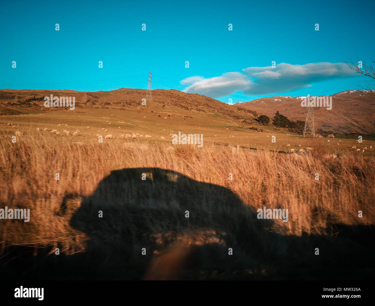 Car shadow on the country road in the morning Stock Photo - Alamy