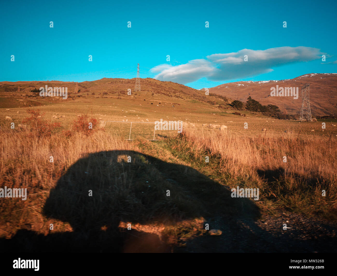 Car shadow on the country road in the morning Stock Photo - Alamy