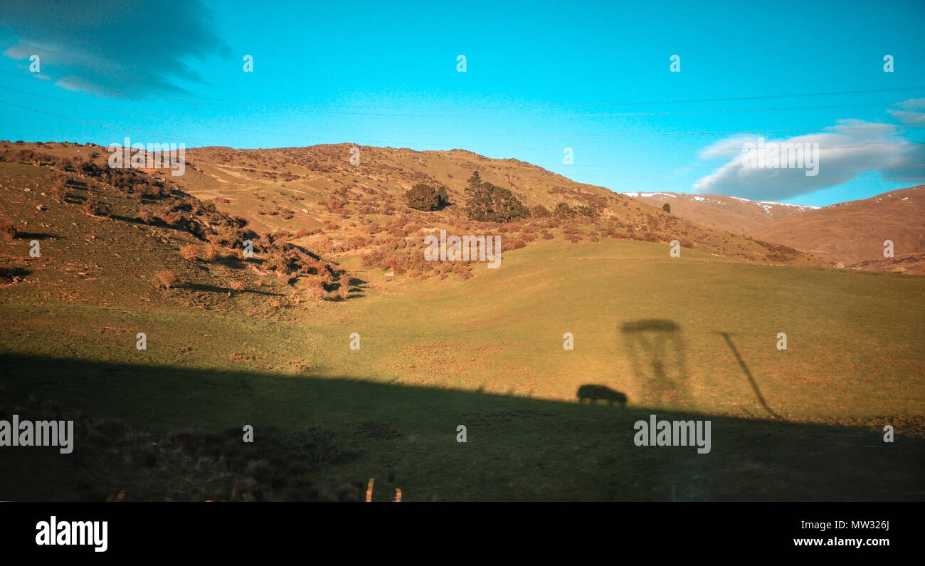 Car shadow on the country road in the morning Stock Photo - Alamy