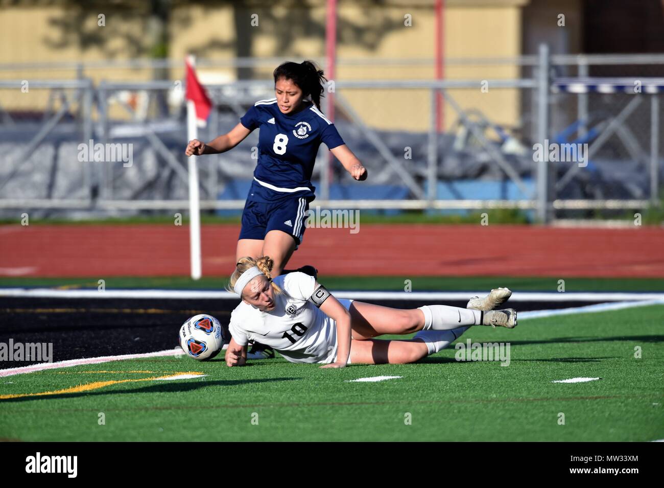 Kick Box Woman Stock Photos & Kick Box Woman Stock Images - Alamy