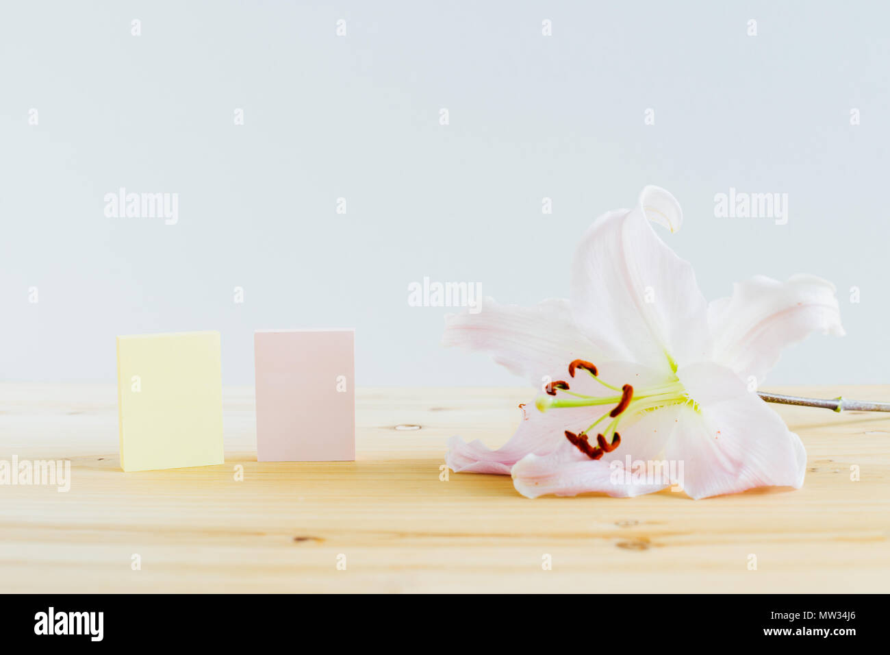 Big colorful desk hi-res stock photography and images - Alamy