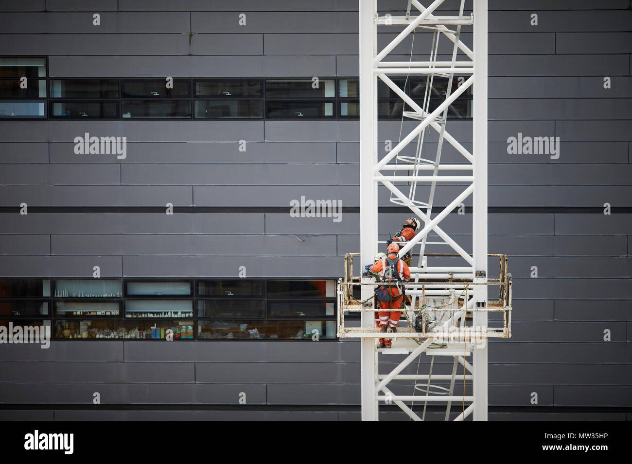 Construction workers building the tower crane at Sir Henry Royce ...