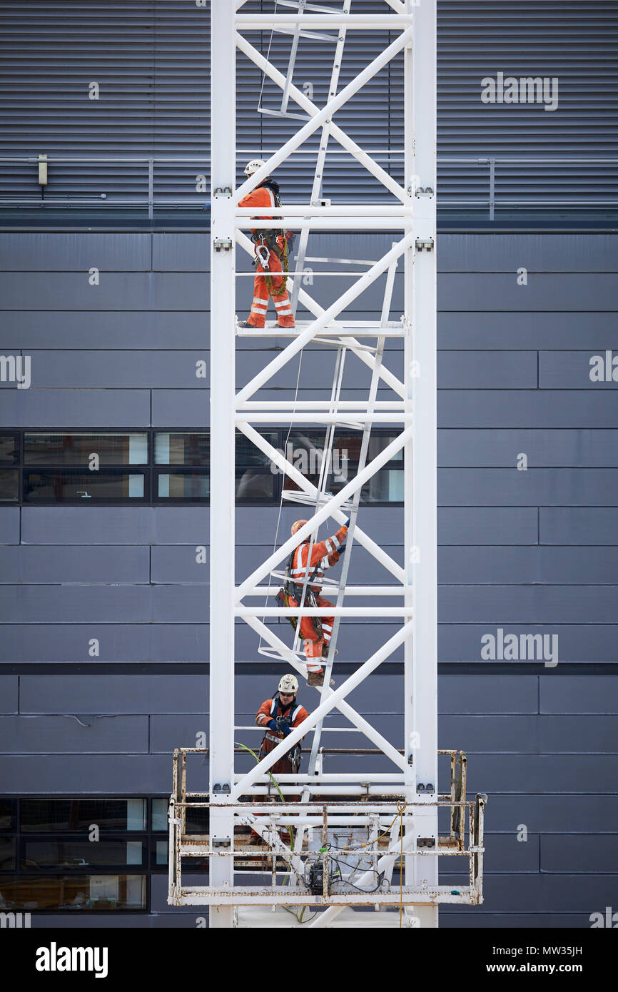 Construction workers building the tower crane at Sir Henry Royce ...