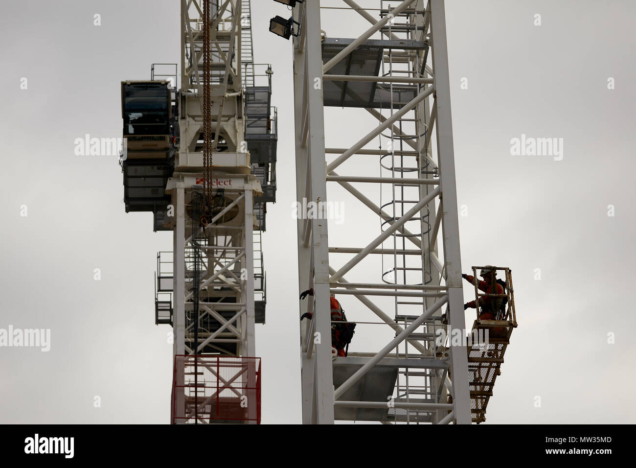 Construction workers building the tower crane at Sir Henry Royce ...