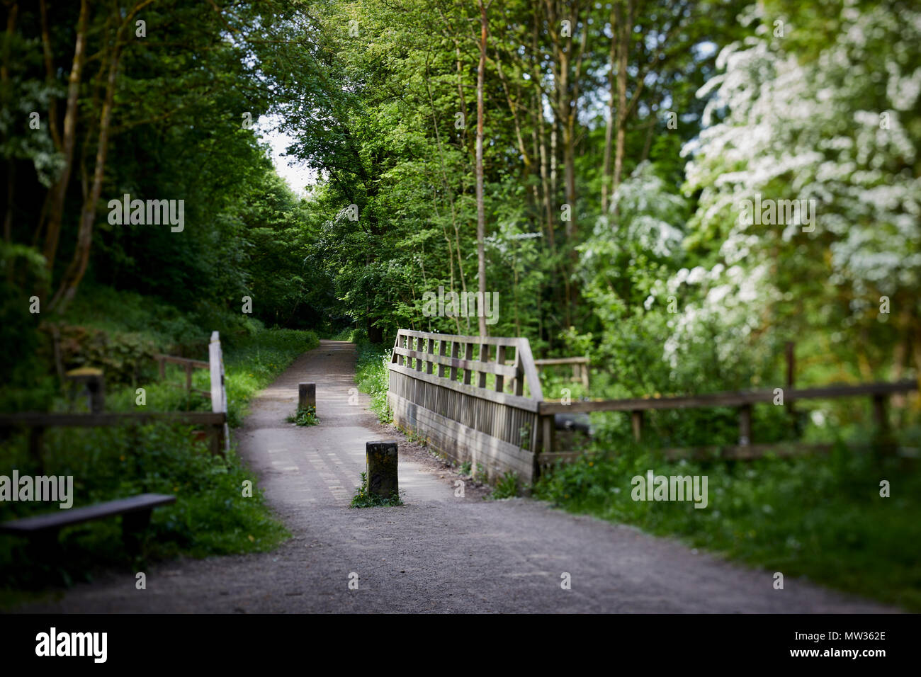 Bike path Deadline in Brinnington alone a disused old railway line in ...
