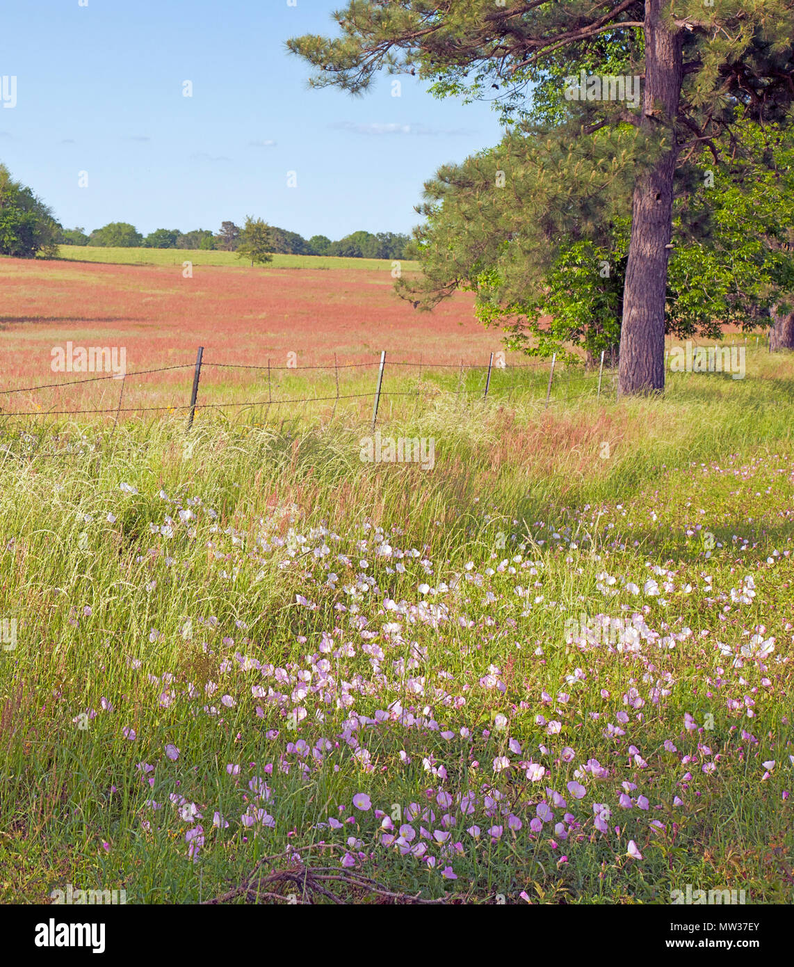 Rural landscapes hi-res stock photography and images - Alamy