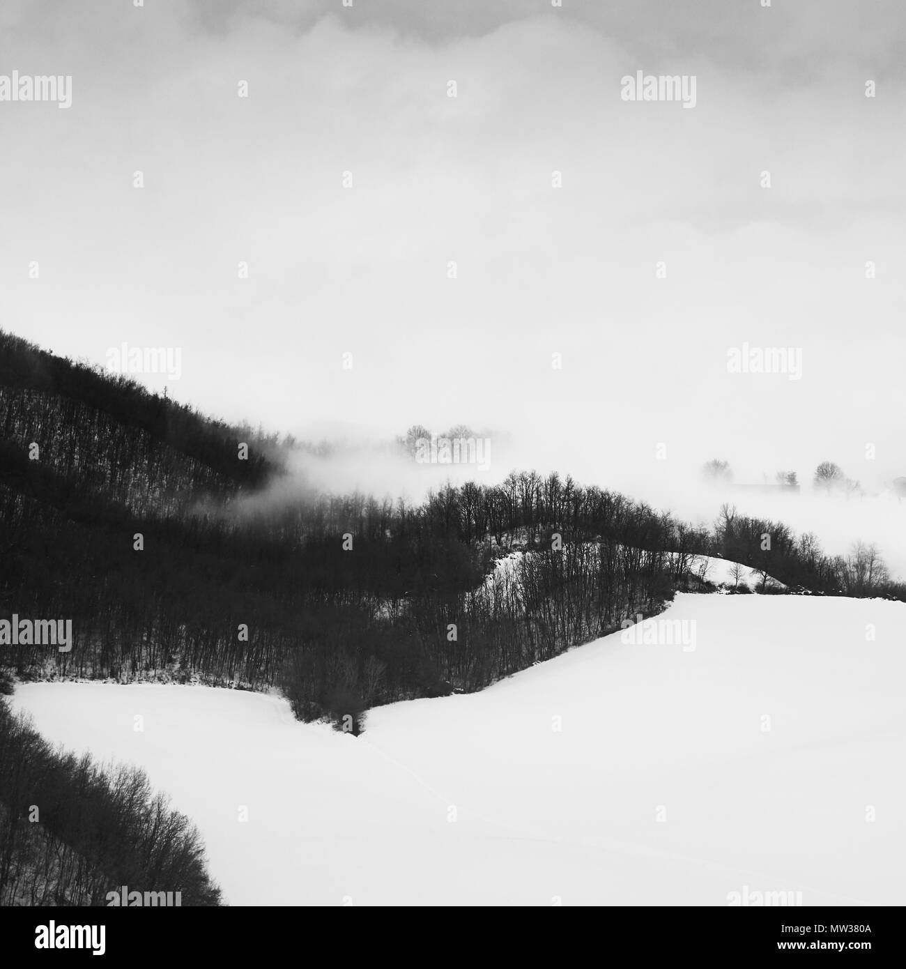 Parma countryside Black and White Stock Photos & Images - Alamy
