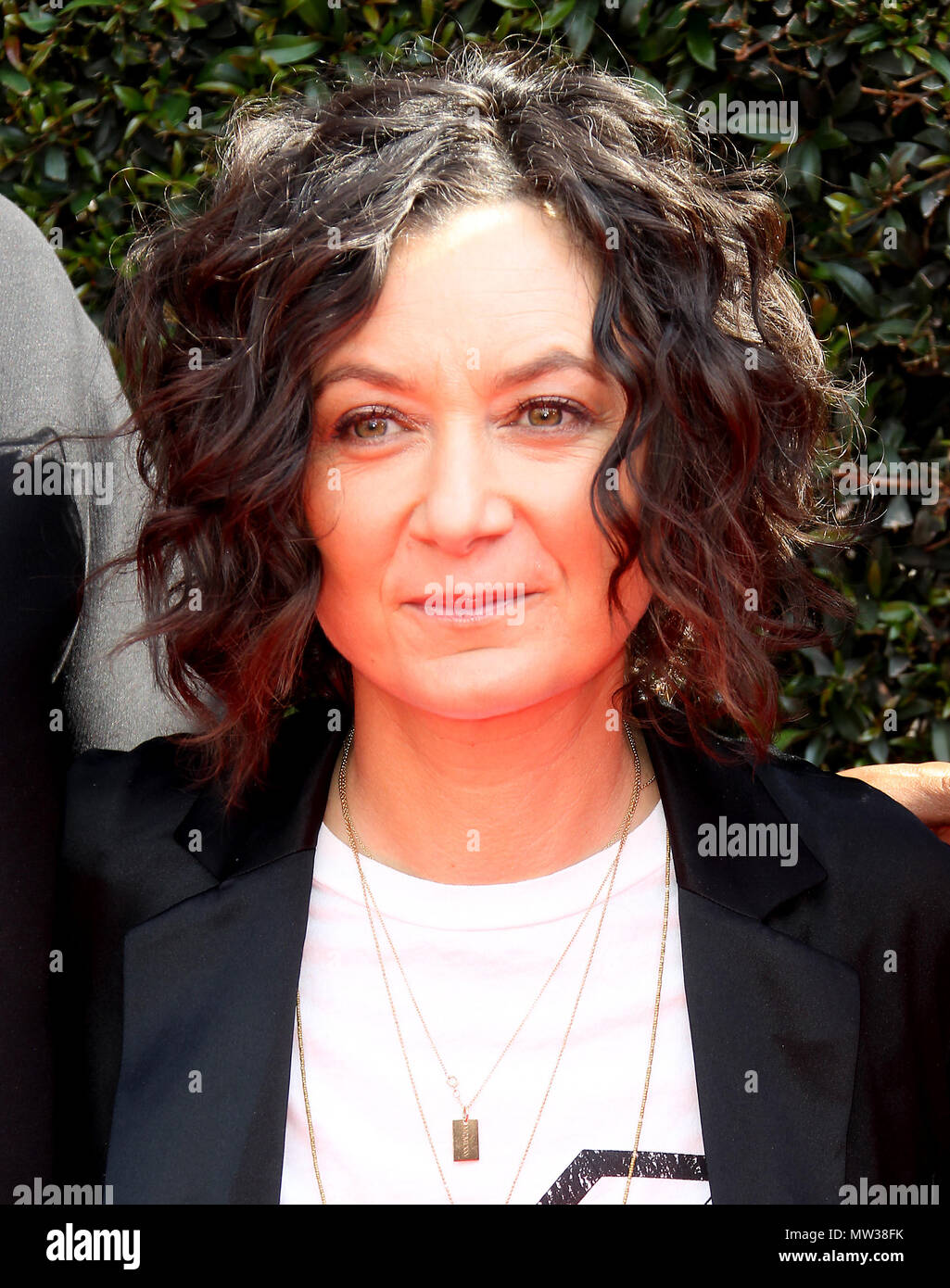 45th Annual Daytime Emmy Awards 2018 Arrivals held at the Pasadena ...