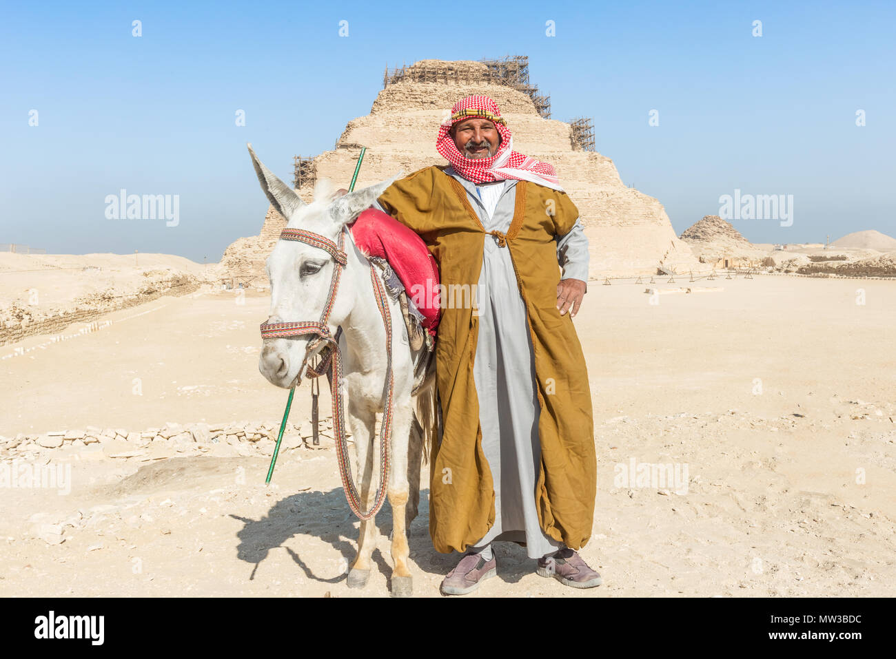 Saqqara, Egypt - December 31, 2014: Local man with donkey in front of ...