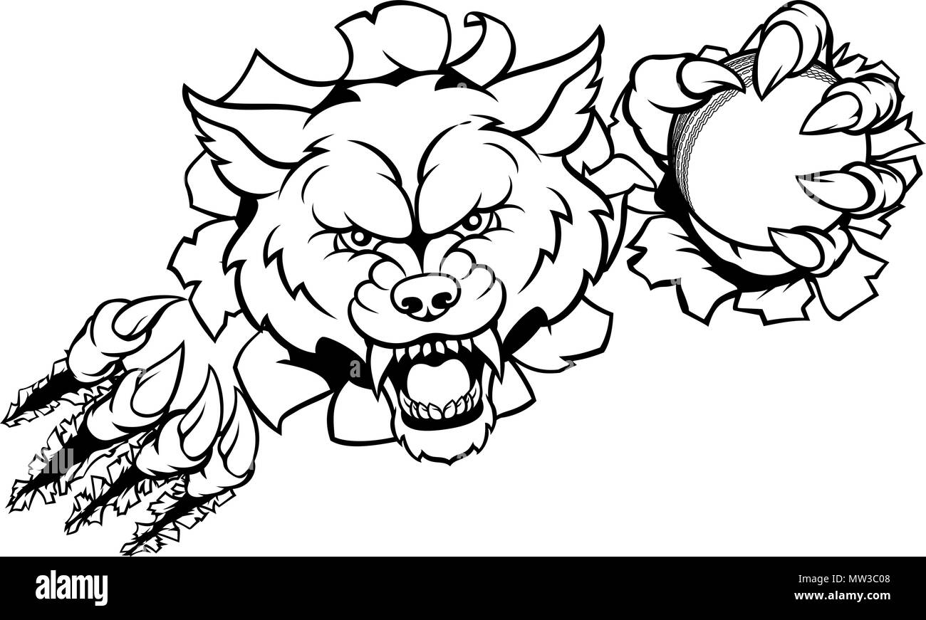 Wolf Cricket Mascot Breaking Background Stock Vector Image & Art - Alamy