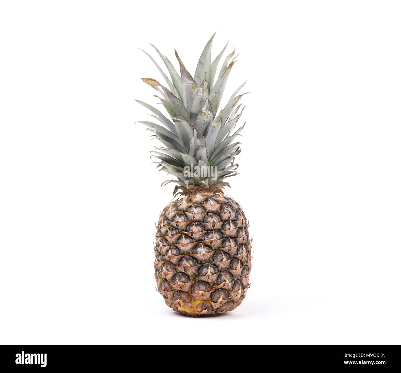 Big pineapple hi-res stock photography and images - Alamy